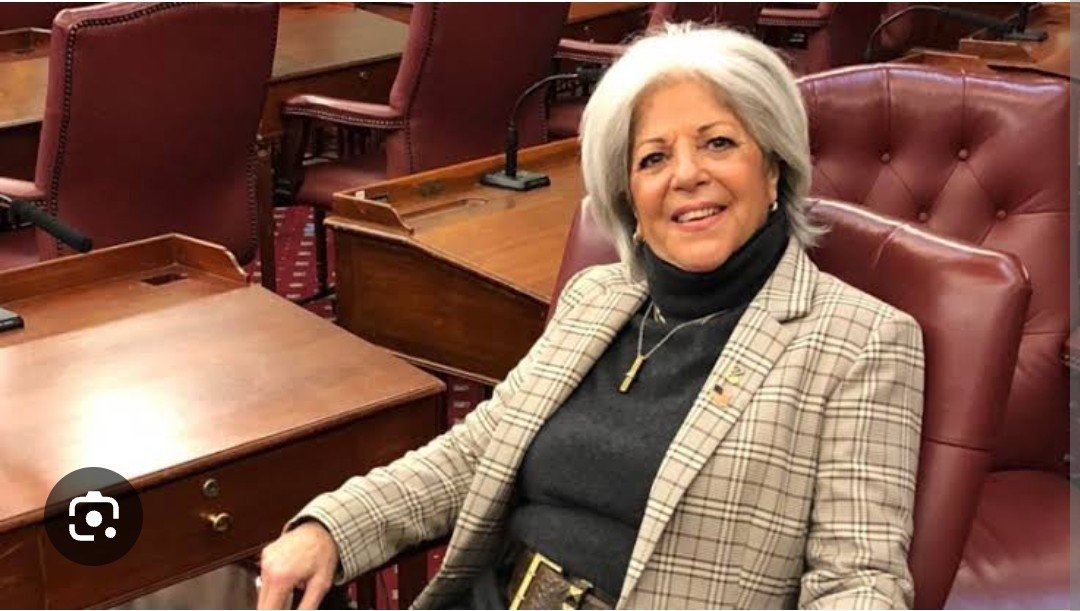 Councilwoman Paladino raises alarm over refugee resettlement in ...